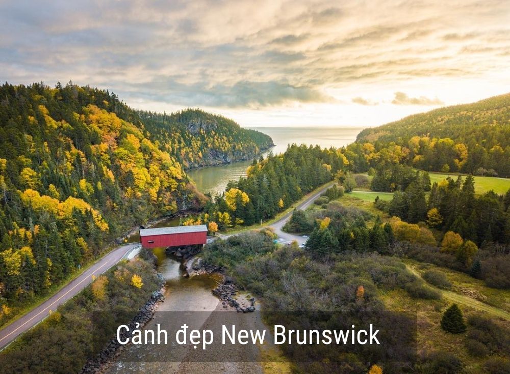 Tỉnh bang New Brunswick Canada đôi điều thú vị