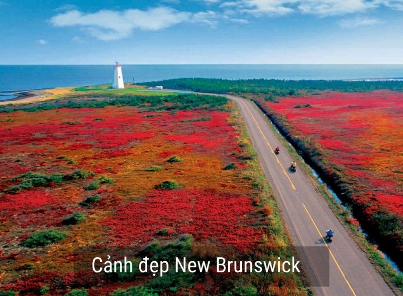 Tỉnh bang New Brunswick Canada đôi điều thú vị