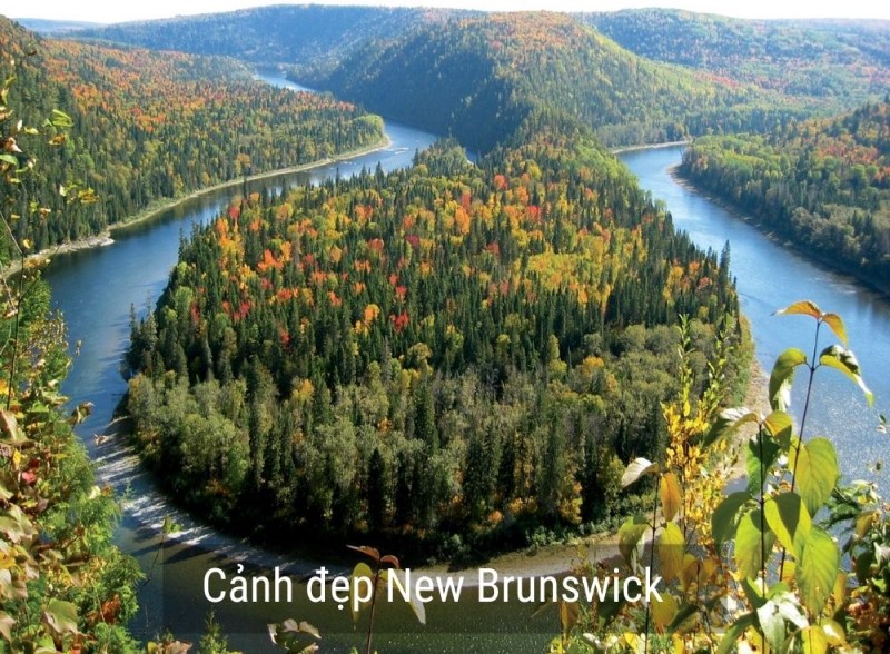 Tỉnh bang New Brunswick Canada đôi điều thú vị