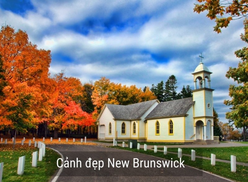 Tỉnh bang New Brunswick Canada đôi điều thú vị