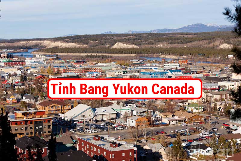 Tỉnh Bang Yukon Canada Nơi Cực Tây Bắc Có gì Hay