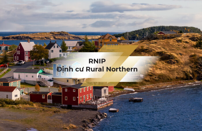 UCA Immigration: Công ty tư vấn định cư Canada uy tín